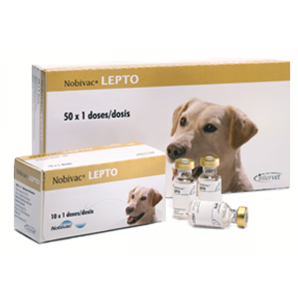 Купить Вакцина Нобивак Лепто (NOBIVAC LEPTO) для собак на 🐕 Shop-Pet.By ...